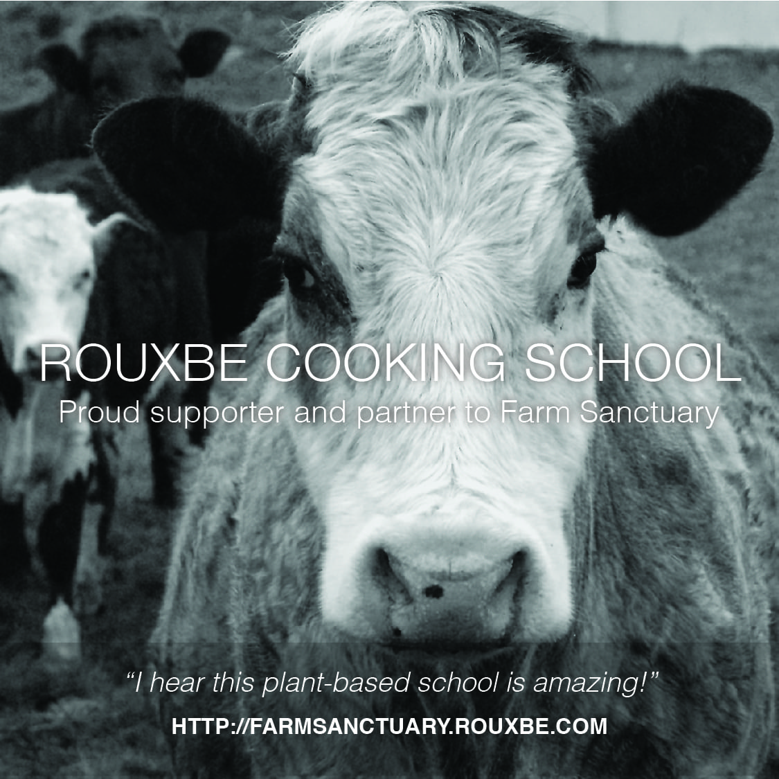 Farm Sanctuary Selects Rouxbe as Culinary Training Partner for Plant ...